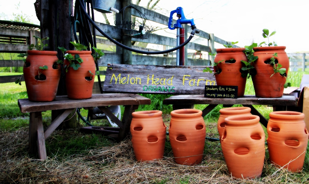 Featured Farmer - Melon Head Farm - Now Georgia