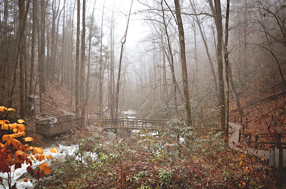 Anna Ruby Falls reopens with limited access - Now Georgia
