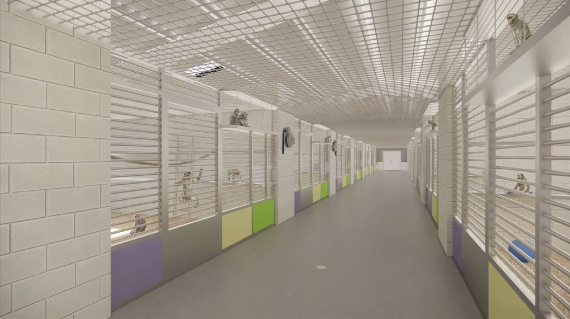 Proposed monkey breeding facility in Georgia raises concerns over ...