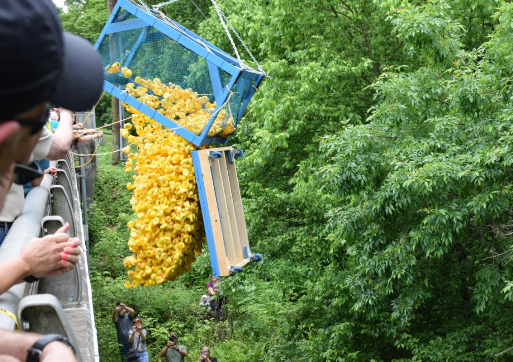 63rd Mountain Laurel Festival set for May 17 - Now Georgia