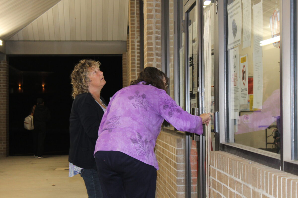Longtime Baldwin resident Nancy Lehman claims Post 2 council seat - Now ...
