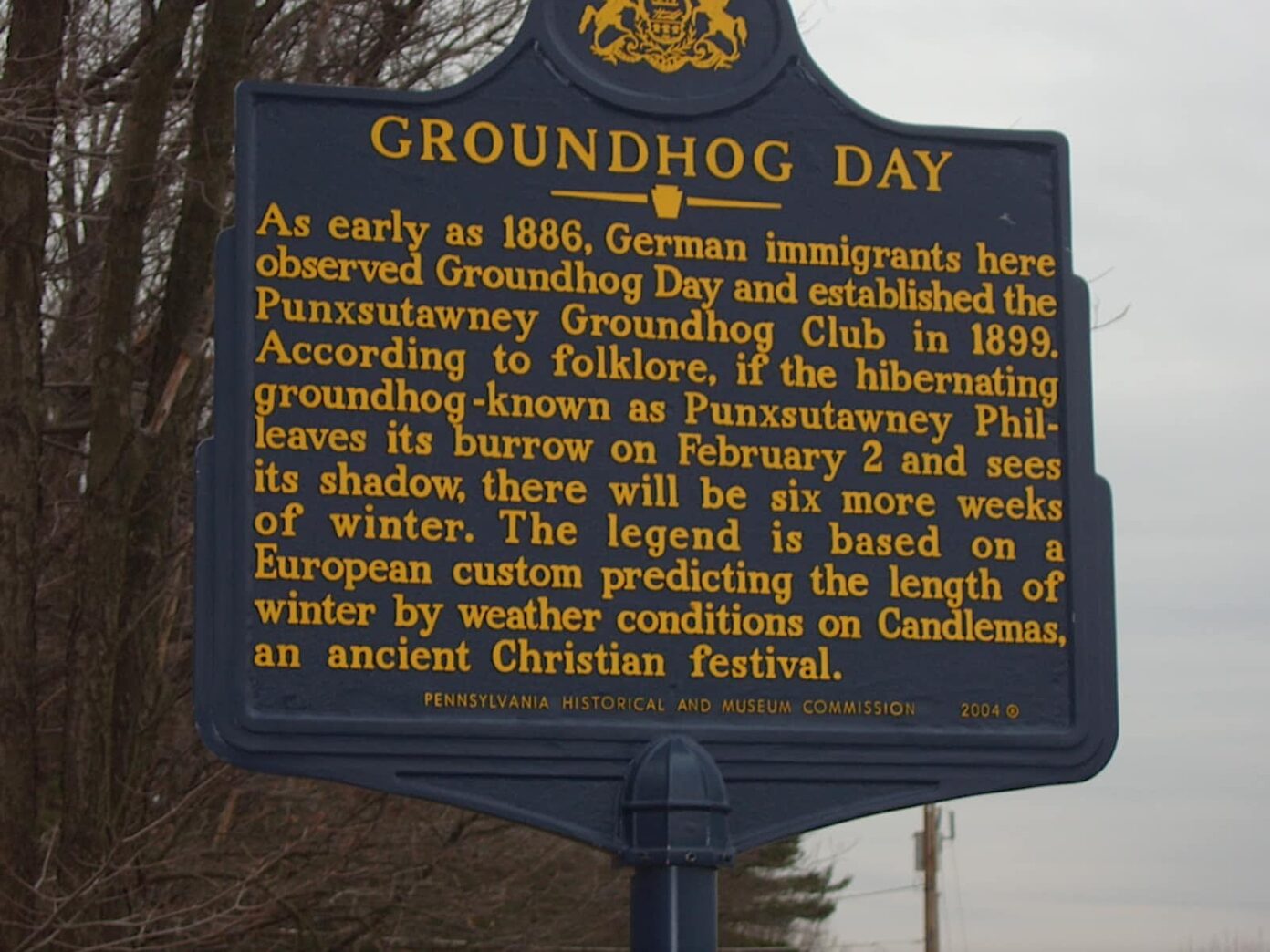 Groundhog Day: Is Beau Georgia's best 'weatherman'? - Now Georgia