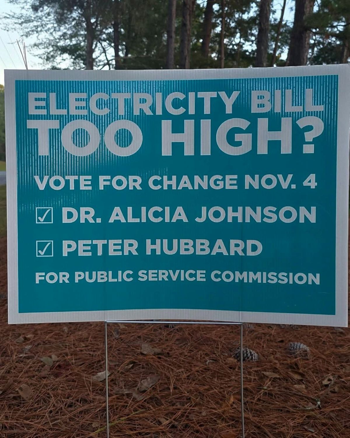 Muscogee Democrats help candidates sweep PSC election - Now Georgia