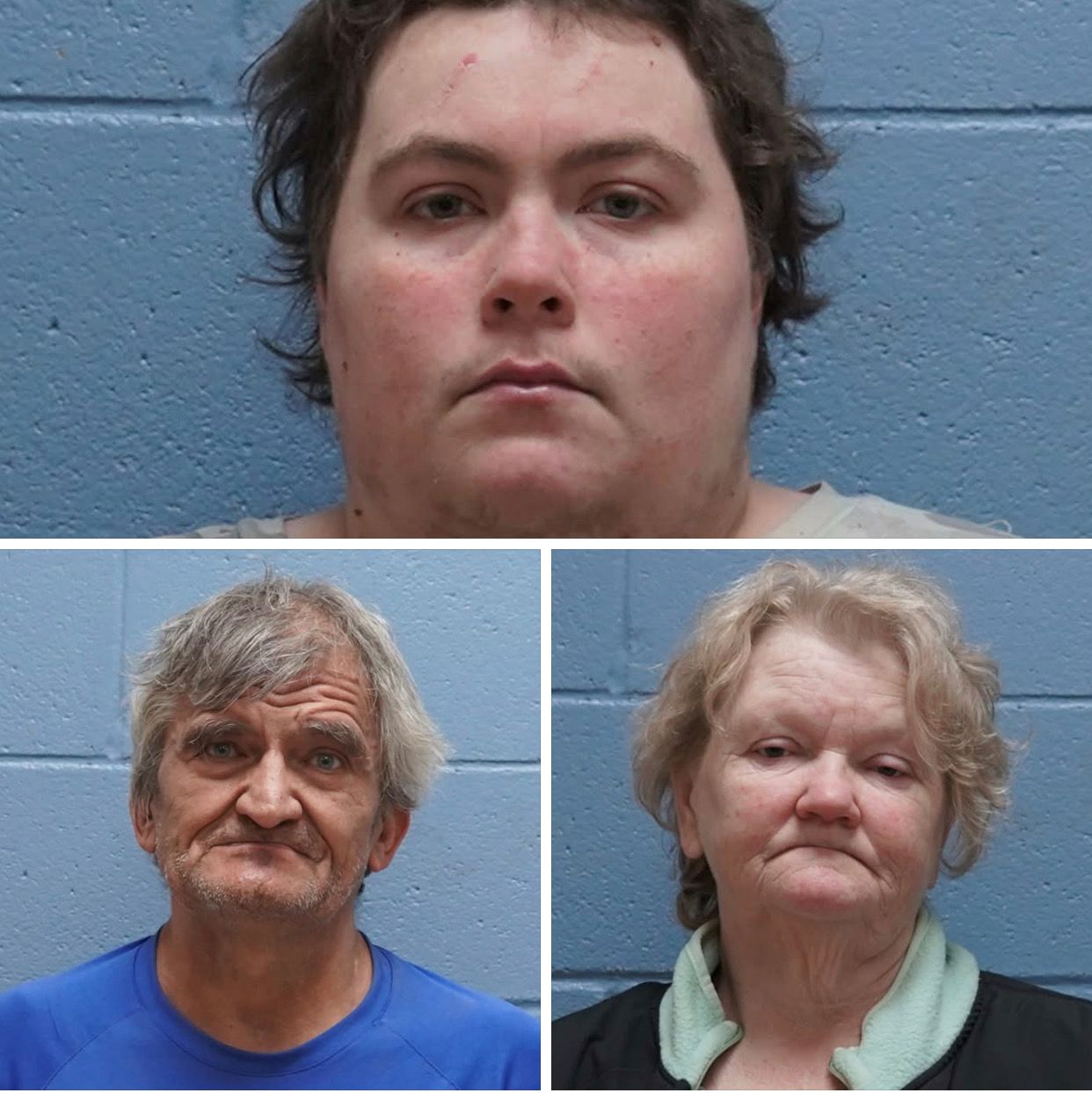 Three charged with animal cruelty in Lee County - Now Georgia
