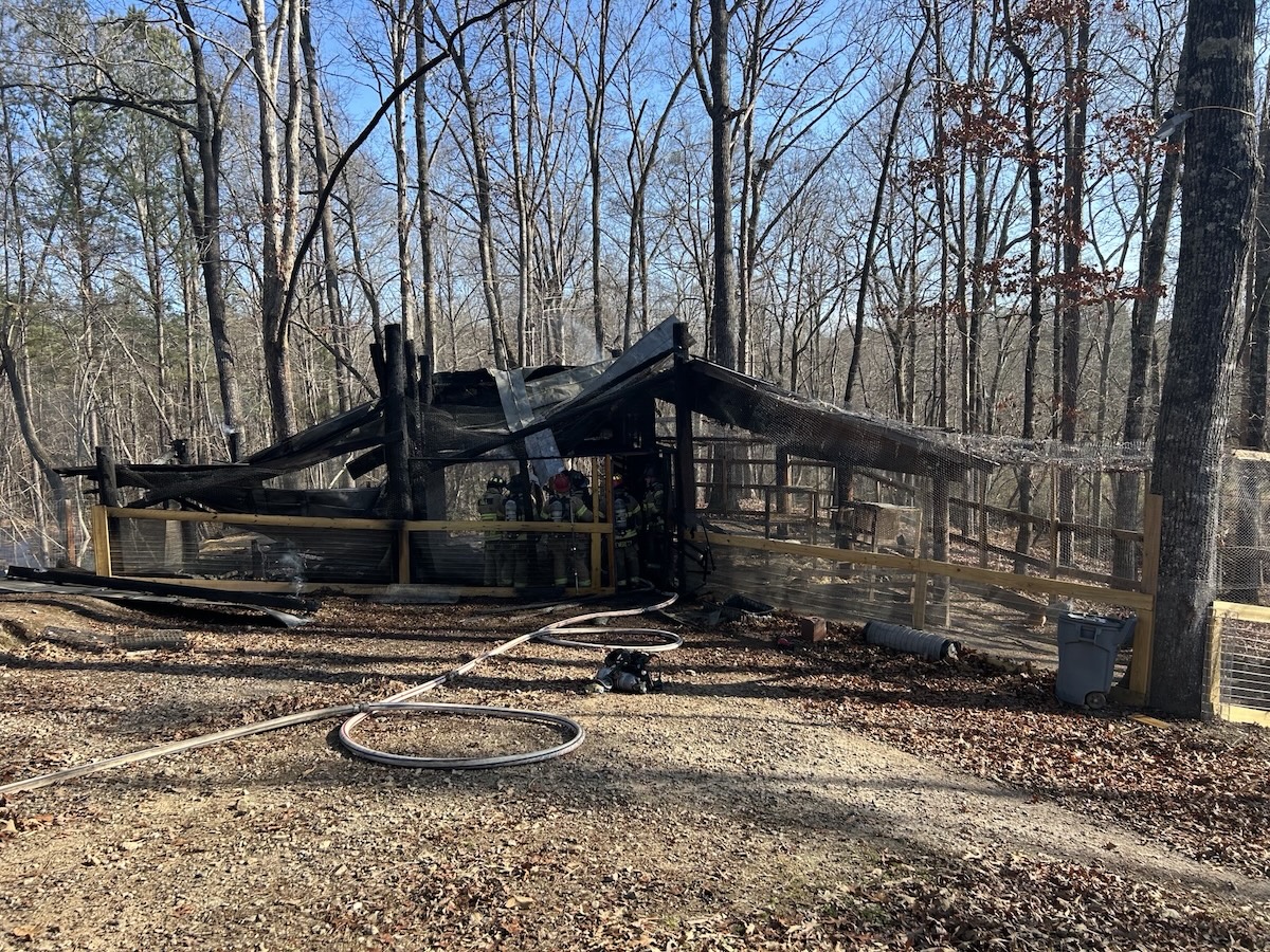 Barn fire kills four animals on Friendship Road - Now Habersham
