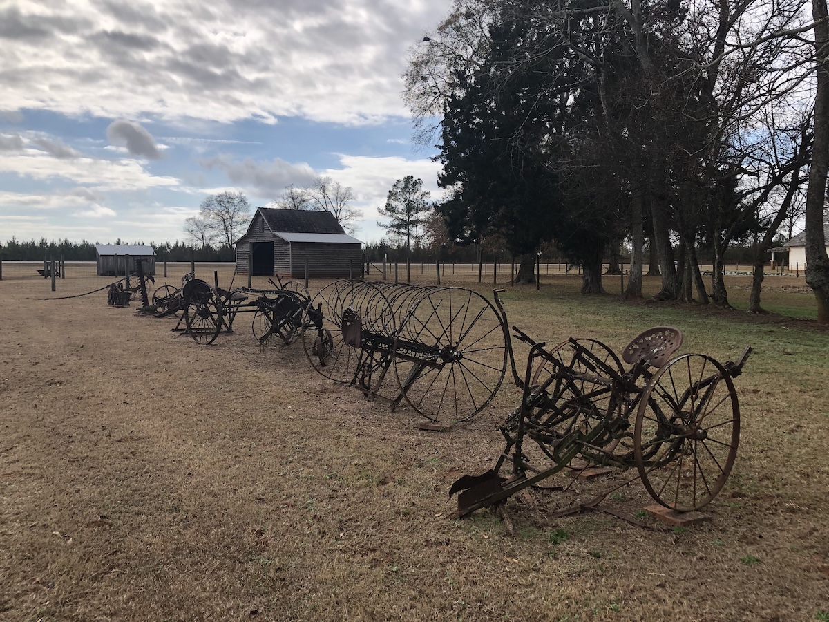 Plainly fascinating: Jimmy Carter's hometown makes for an intriguing ...