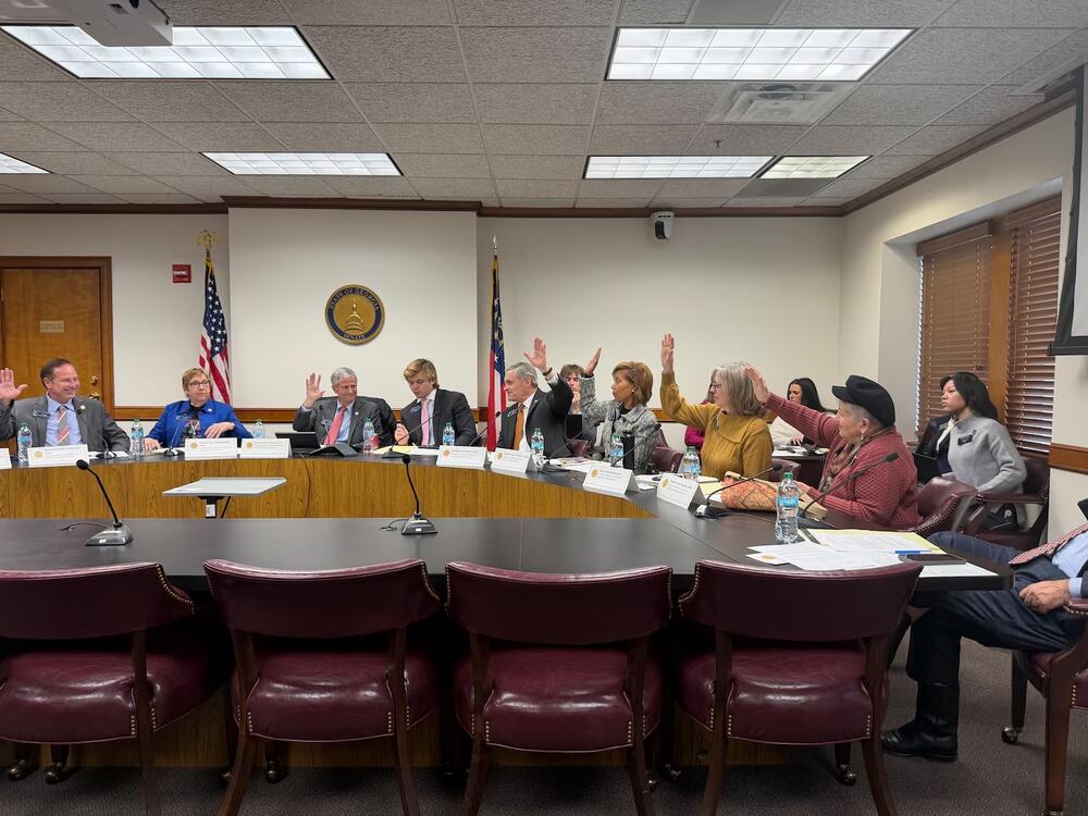 Georgia Senate panel advances bill to ease path for foreign-trained ...