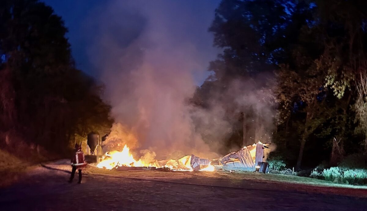 Fire destroys Banks County chicken house, killing 22,000 birds - Now ...