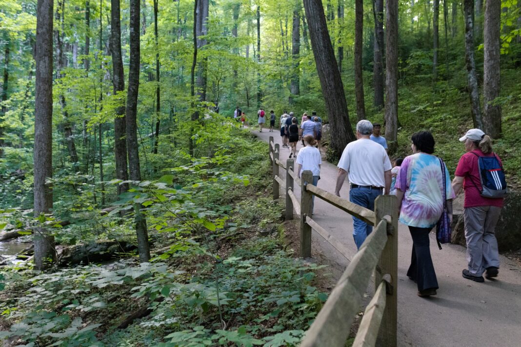 Foxfire Night Hikes begin soon at Anna Ruby Falls - Now Georgia