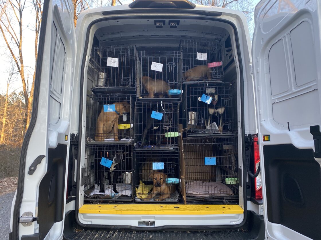 Habersham Animal Shelter’s worst duty: saying ‘goodbye’